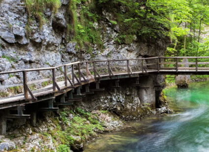 About the Vintgar Gorge - Vintgar