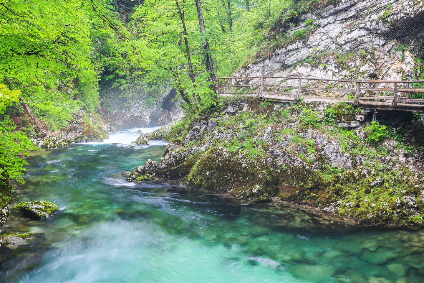 About the Vintgar Gorge - Vintgar